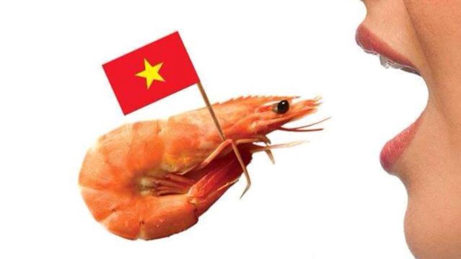 Raising Shrimp | Kanopy