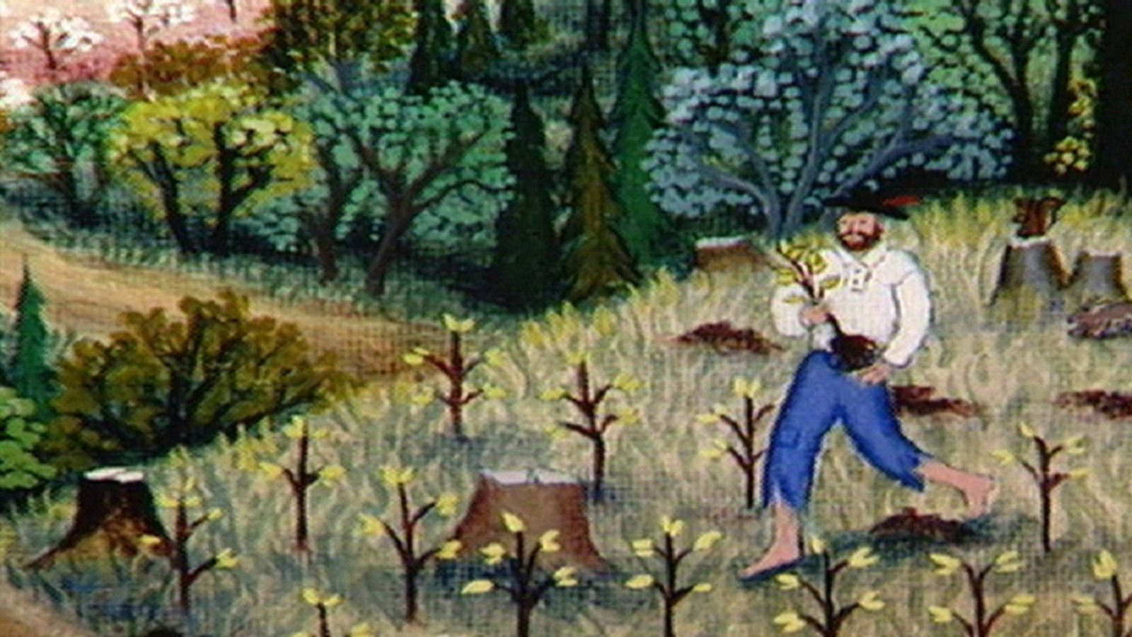 Johnny Appleseed | Kanopy