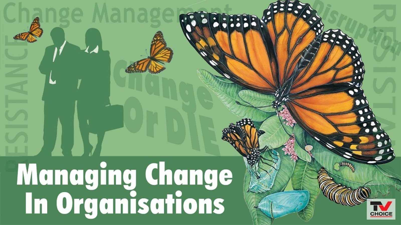 Managing Change In Organizations | Kanopy